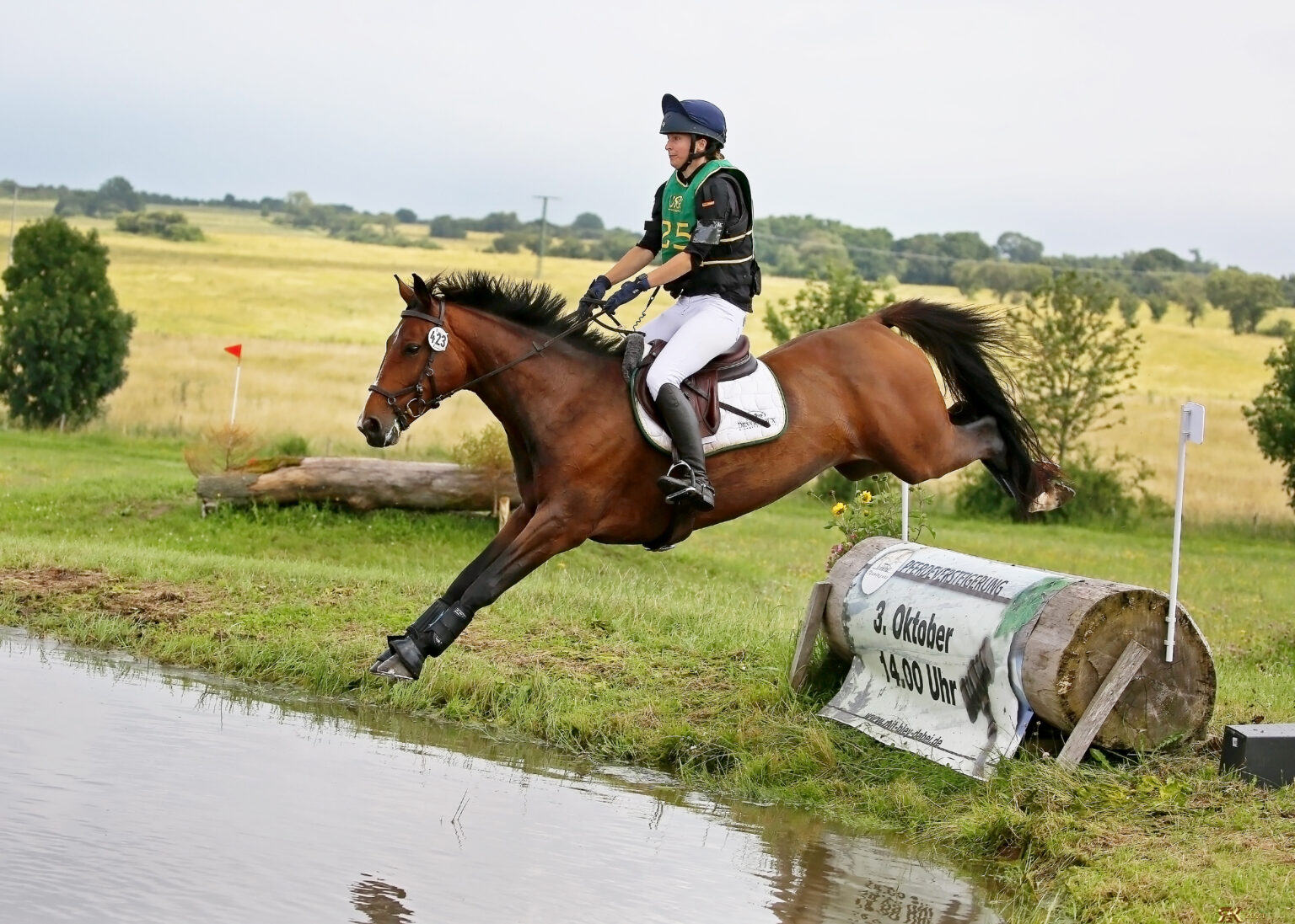 Über mich – Pferdezahnpraxis Alexa Bach